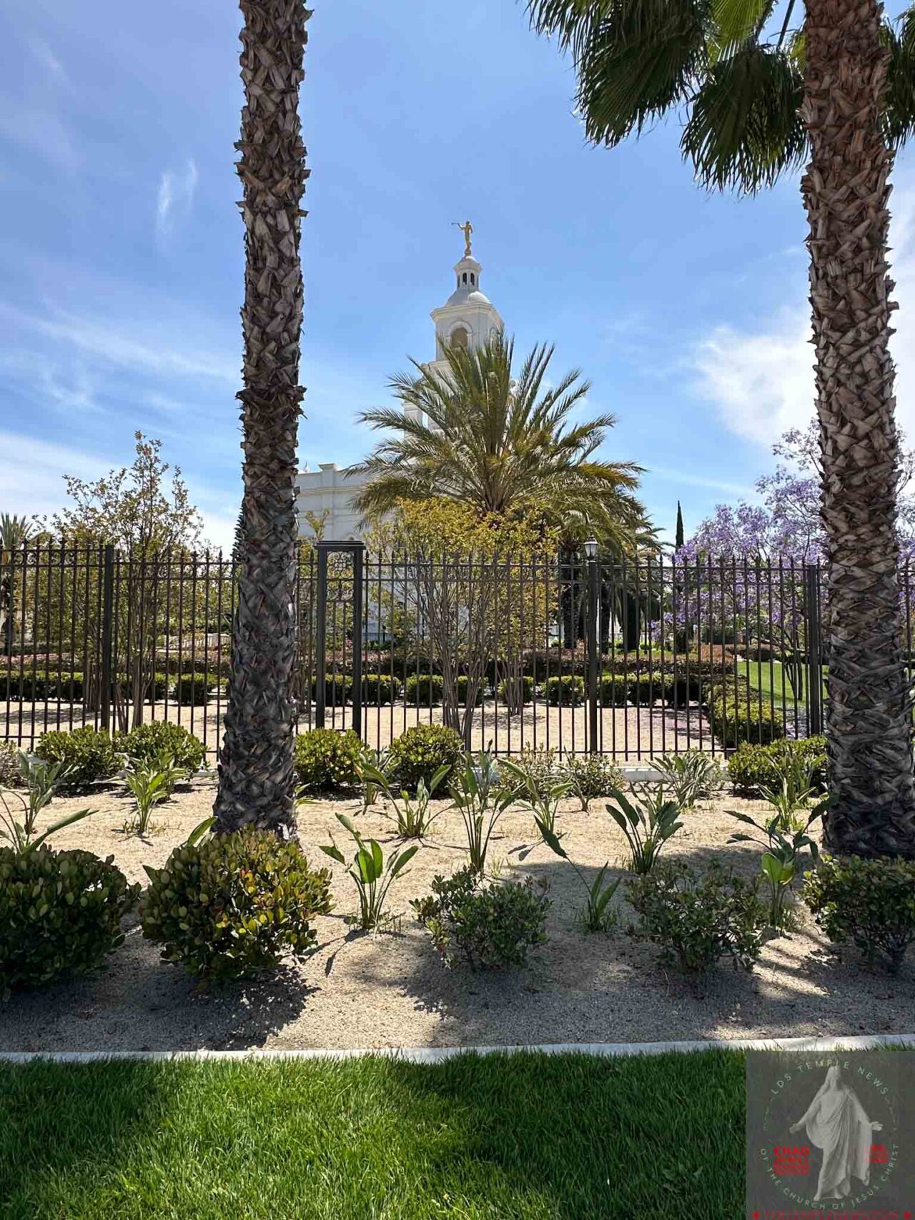Tijuana Mexico Temple by LDS Temple News - Church of Jesus Christ ...
