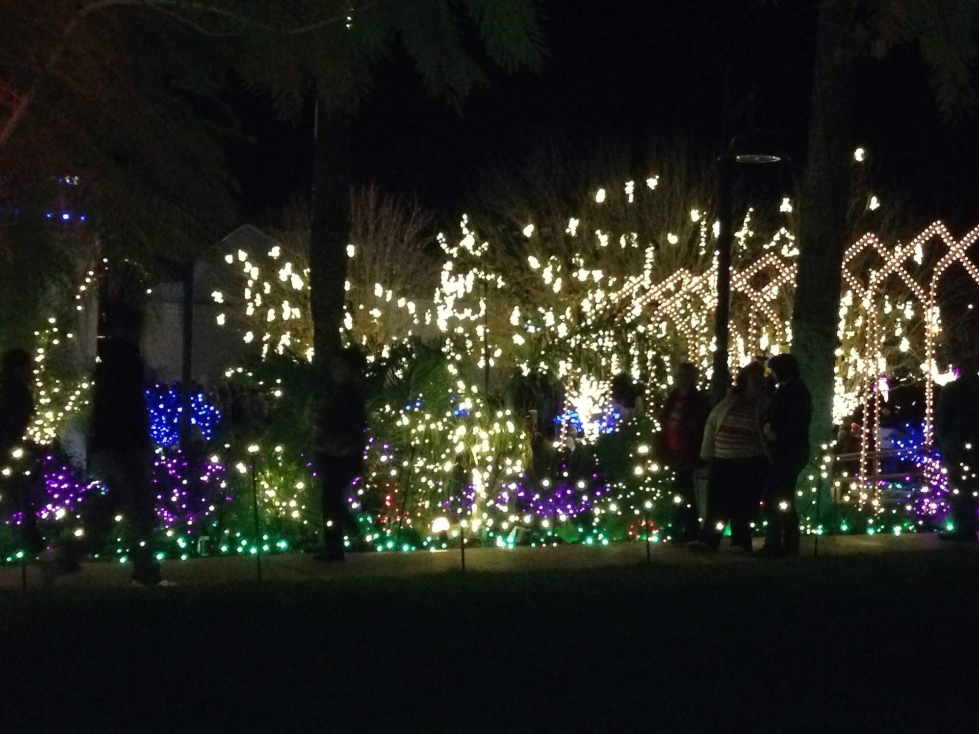 Christmas Lights at the Mesa Arizona LDS Temple December 22nd, 2025 ...
